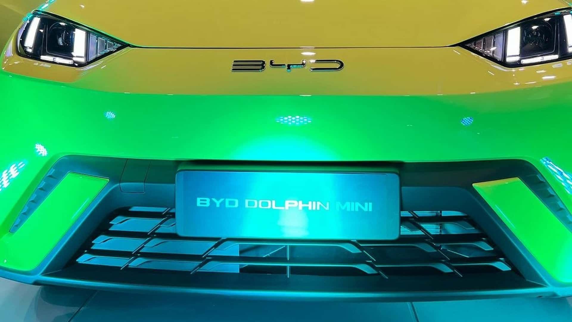 DOLPHIN MINI - VEJA AS VANTAGENS DE TER UM! - TuttiCAR